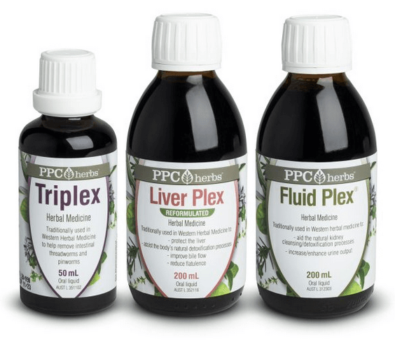 Premium Herbal Tinctures for Holistic Wellness